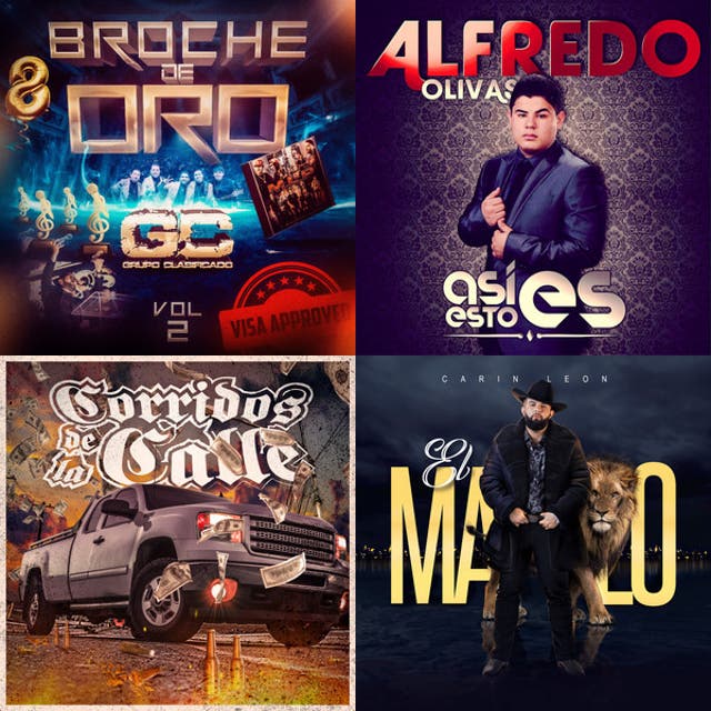 no se cantan, se gritan!!😩 - playlist by ashley gaxiola | Spotify