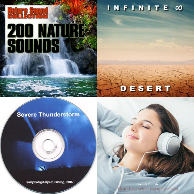 Environmental artists, music and albums - Chosic