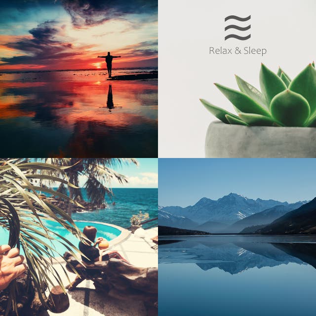Shush artists, music and albums - Chosic