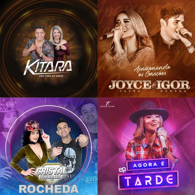 Forro De Favela artists, songs, decades and similar genres - Chosic