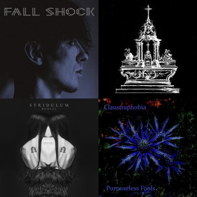 Modern Darkwave artists, songs, decades and similar genres - Chosic