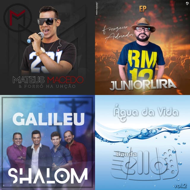 Forro Gospel artists, music and albums - Chosic
