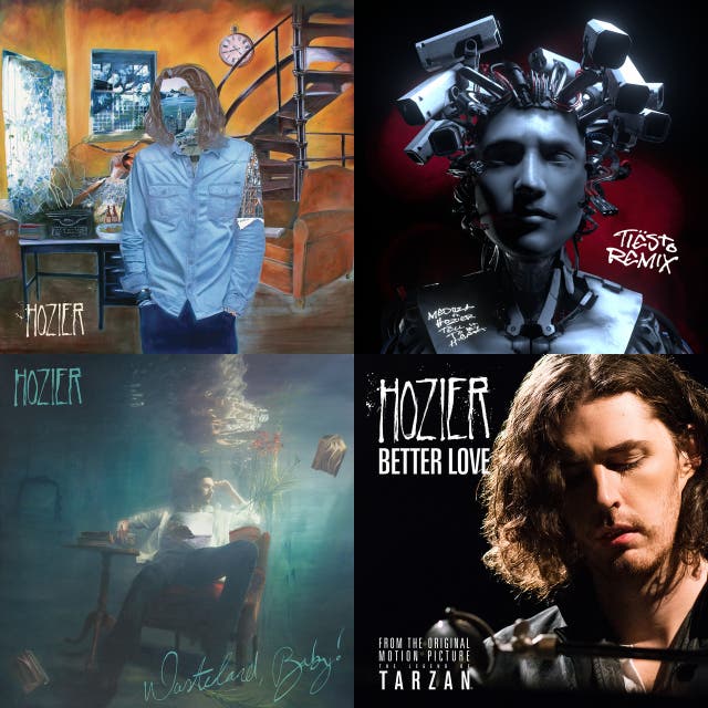 Hozier Wedding Songs - playlist by Weddings & Brides | Spotify
