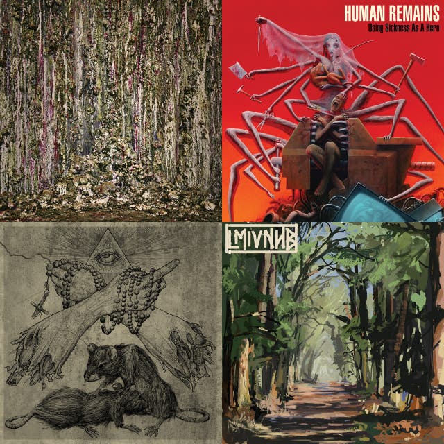Technical Grindcore artists, music and albums - Chosic