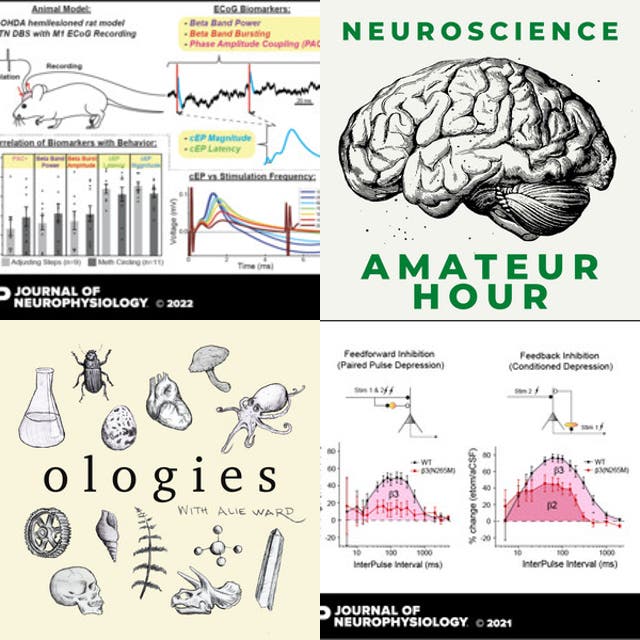 Brain science podcasts - playlist by twithrow07 | Spotify